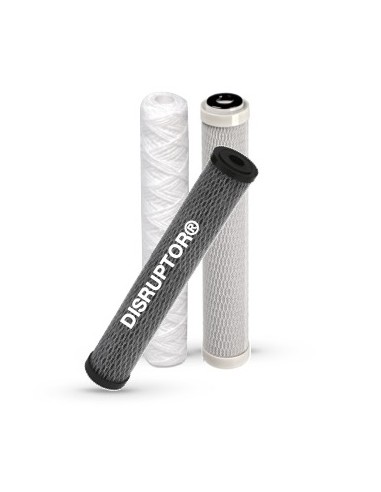 Station DISRUPTOR® TRIO 20 : filtration eau de pluie, puits, 20 pouces